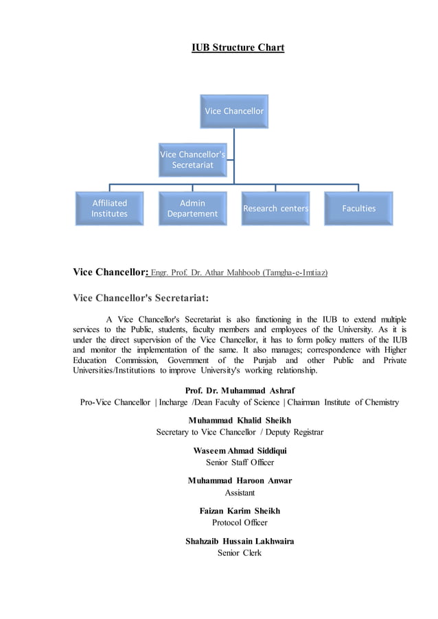 organizational structure | DOCX | Business Administration | Business