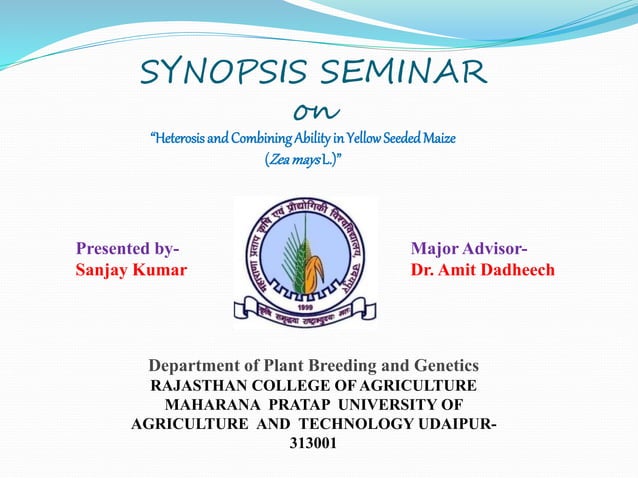 synopsis seminar on maize | PPTX
