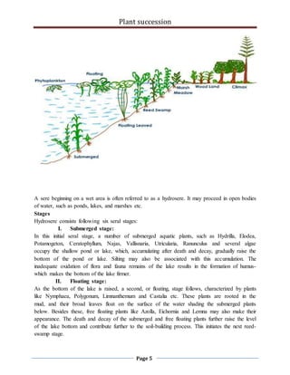 plant succession | DOCX