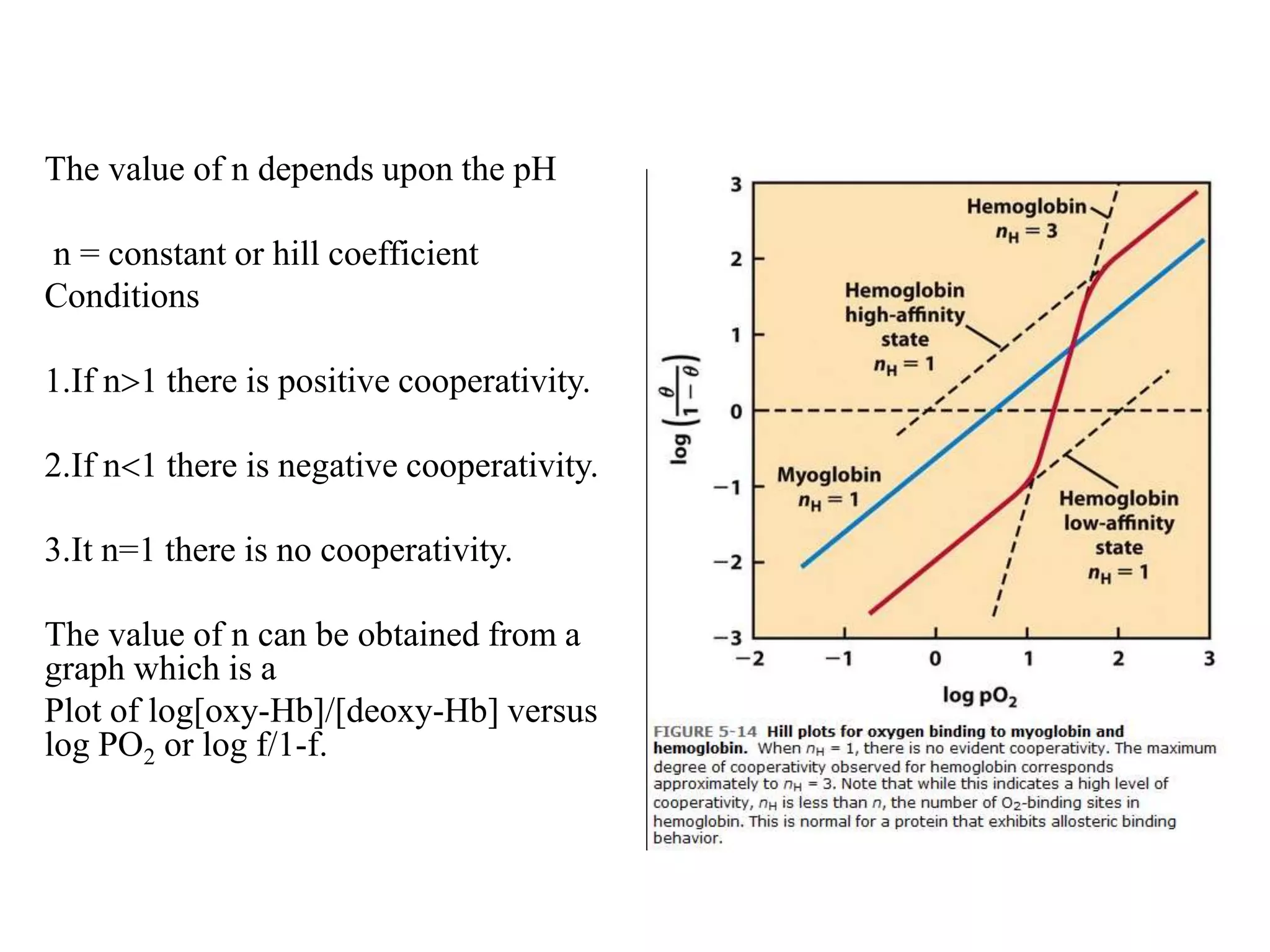 biological oxygen carriers hemoglobin ,hemocyanin ,hemerythrene .hill ...