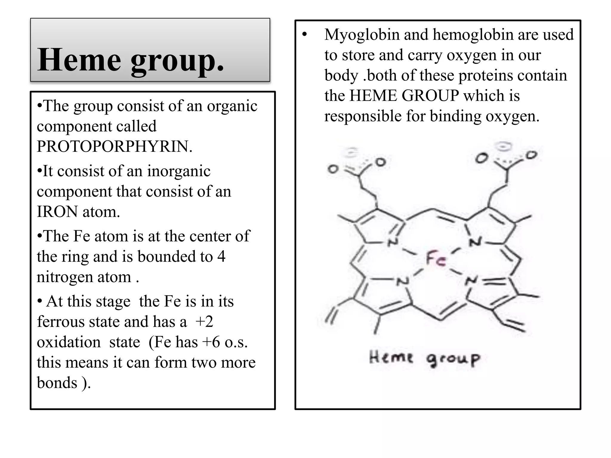 biological oxygen carriers hemoglobin ,hemocyanin ,hemerythrene .hill ...