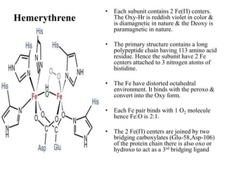 biological oxygen carriers hemoglobin ,hemocyanin ,hemerythrene .hill ...
