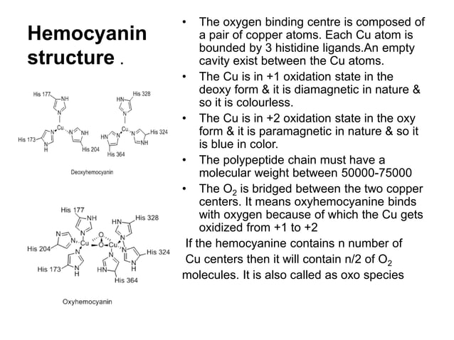 biological oxygen carriers hemoglobin ,hemocyanin ,hemerythrene .hill ...