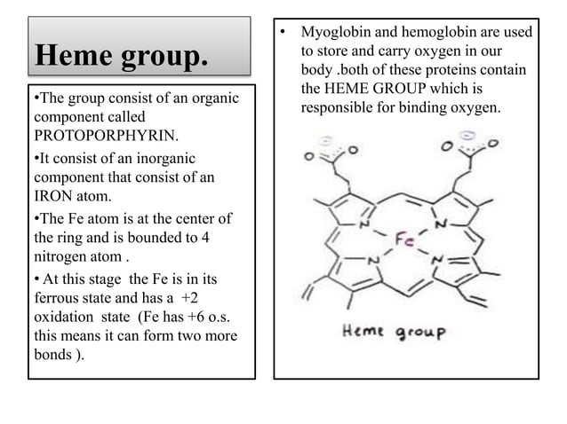 biological oxygen carriers hemoglobin ,hemocyanin ,hemerythrene .hill ...