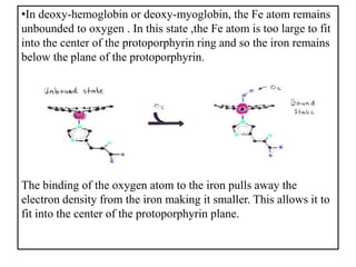 biological oxygen carriers hemoglobin ,hemocyanin ,hemerythrene .hill ...