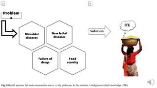 Sanath Kumar et al (2022) Indigenous traditional knowledge enabling a certain panacea. 7 Slide ...