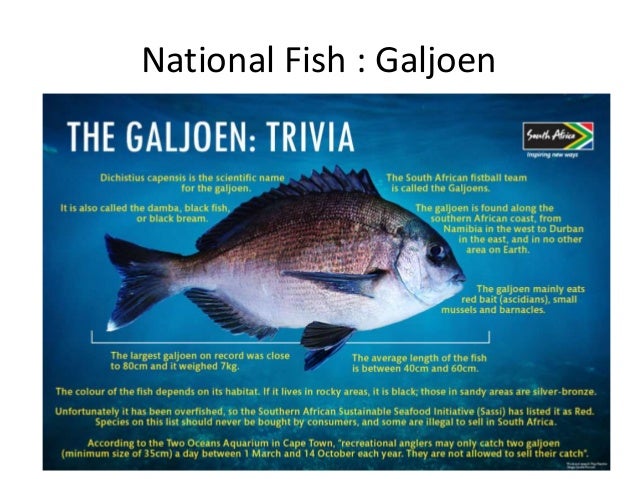 Grade 2 - South Africa National Emblems