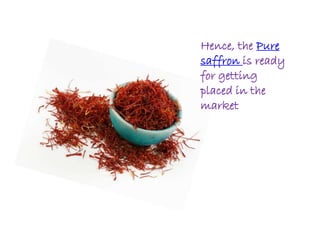 Steps In Processing The Pure Saffron | PPTX