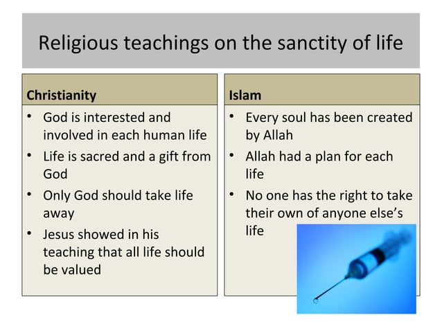 Sanctity of life[1] | PPT