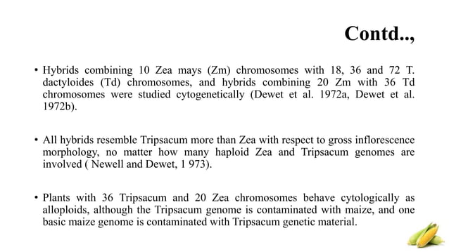 Evolution and cytogenetics of maize | PPTX | Biological Sciences | Science