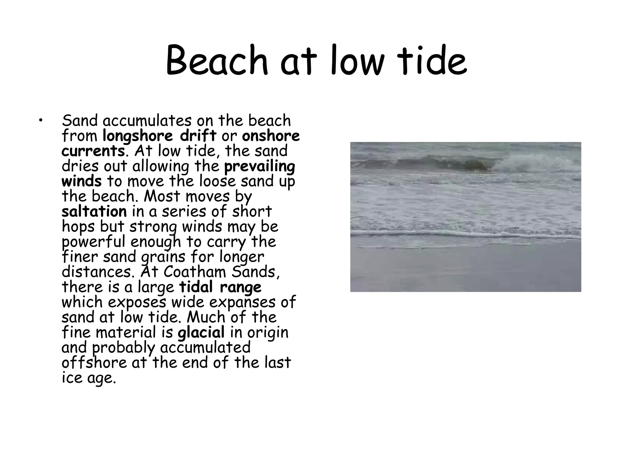 Sand Dune Ecosystems | PPT