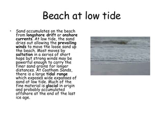 Sand Dune Ecosystems | PPT
