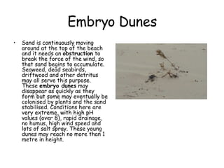 Sand Dune Ecosystems | PPT
