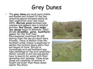 Sand Dune Ecosystems | PPT
