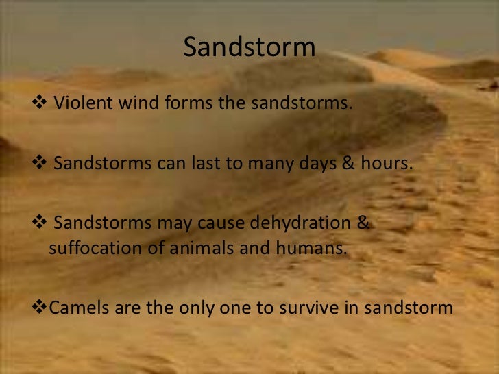 Sand & windmill