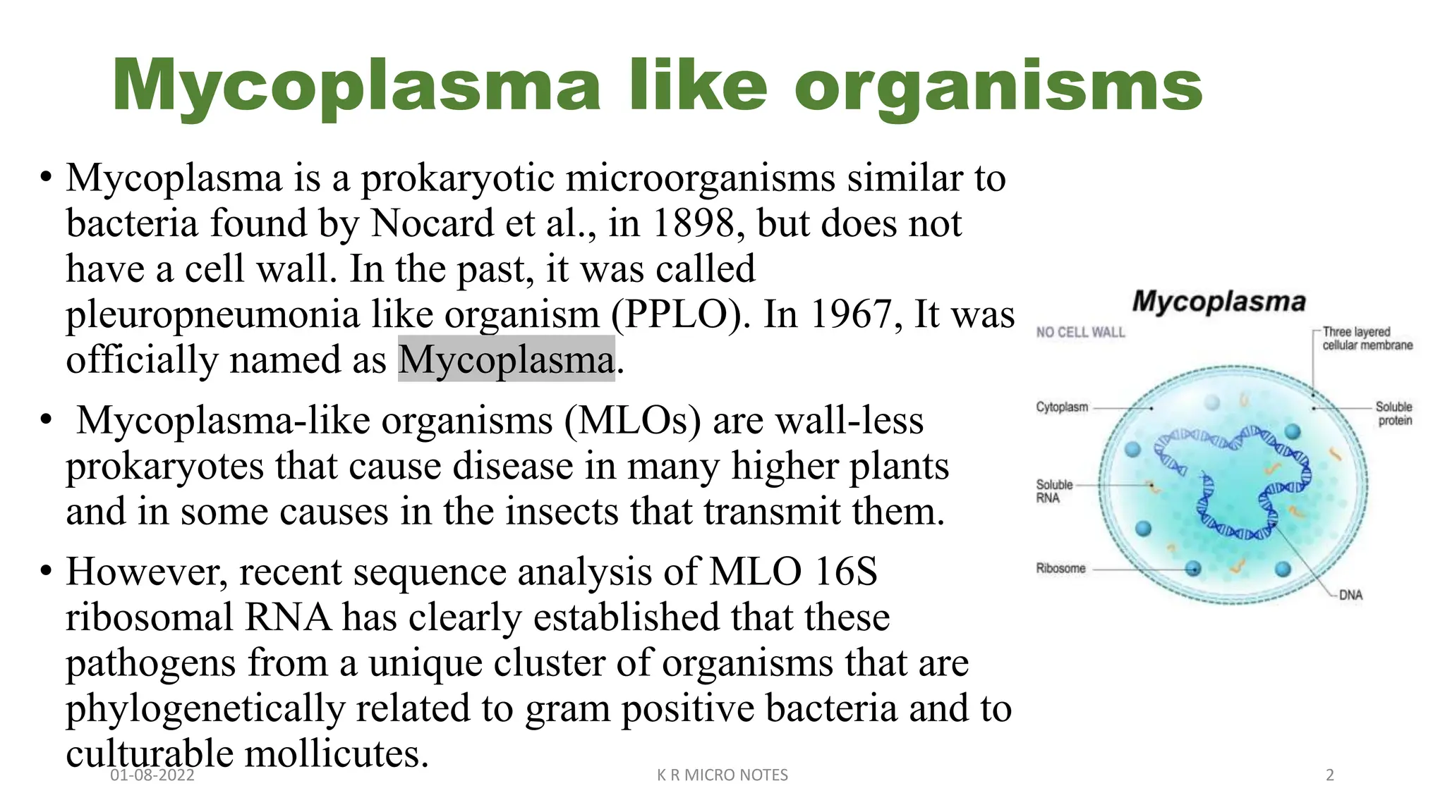 SANDAL SPIKE MYCOPLASMAL DISEASE K R ppt | PPTX
