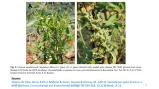 SANDAL SPIKE MYCOPLASMAL DISEASE K R ppt | PPTX