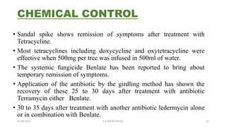 SANDAL SPIKE MYCOPLASMAL DISEASE K R ppt | PPTX