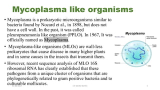 SANDAL SPIKE MYCOPLASMAL DISEASE K R ppt | PPTX