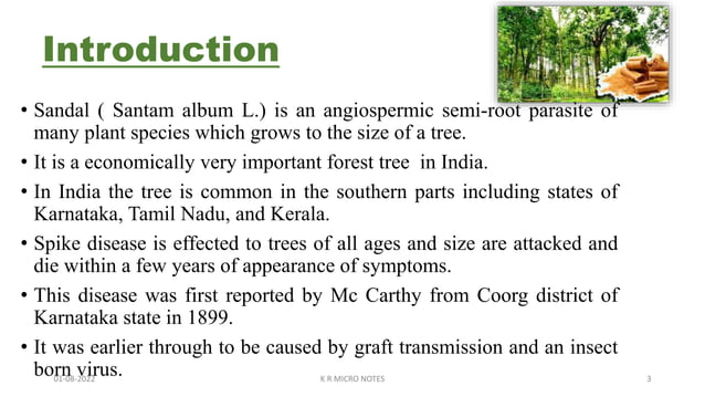 SANDAL SPIKE MYCOPLASMAL DISEASE K R ppt | PPTX | Gardening | Home & Garden