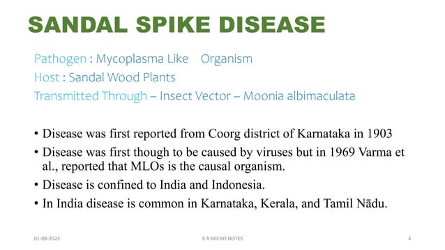 SANDAL SPIKE MYCOPLASMAL DISEASE K R ppt | PPTX | Gardening | Home & Garden