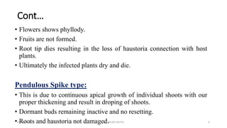 SANDAL SPIKE MYCOPLASMAL DISEASE K R ppt | PPTX