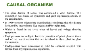 SANDAL SPIKE MYCOPLASMAL DISEASE K R ppt | PPTX
