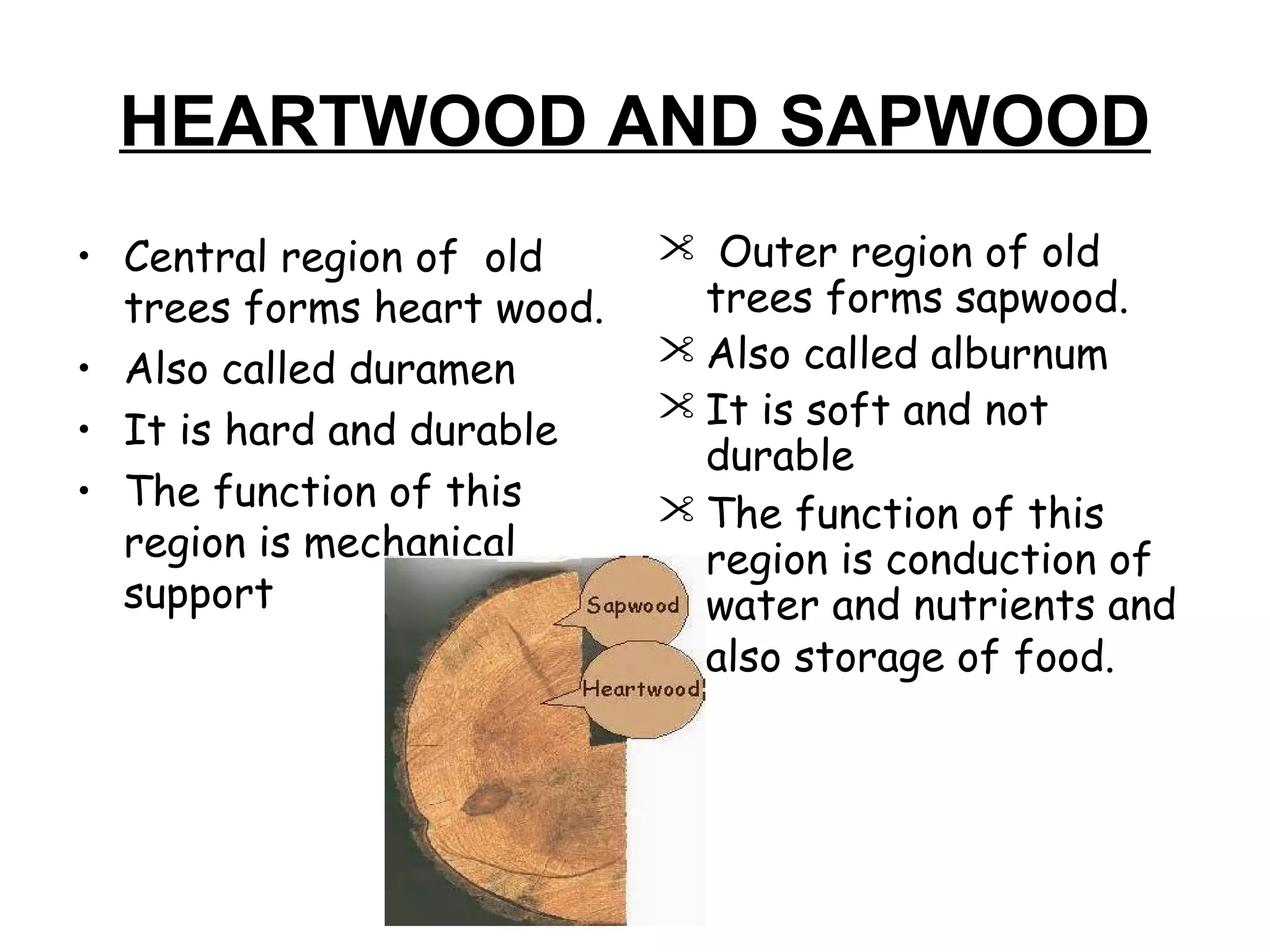 Sandalwood oil | PPT