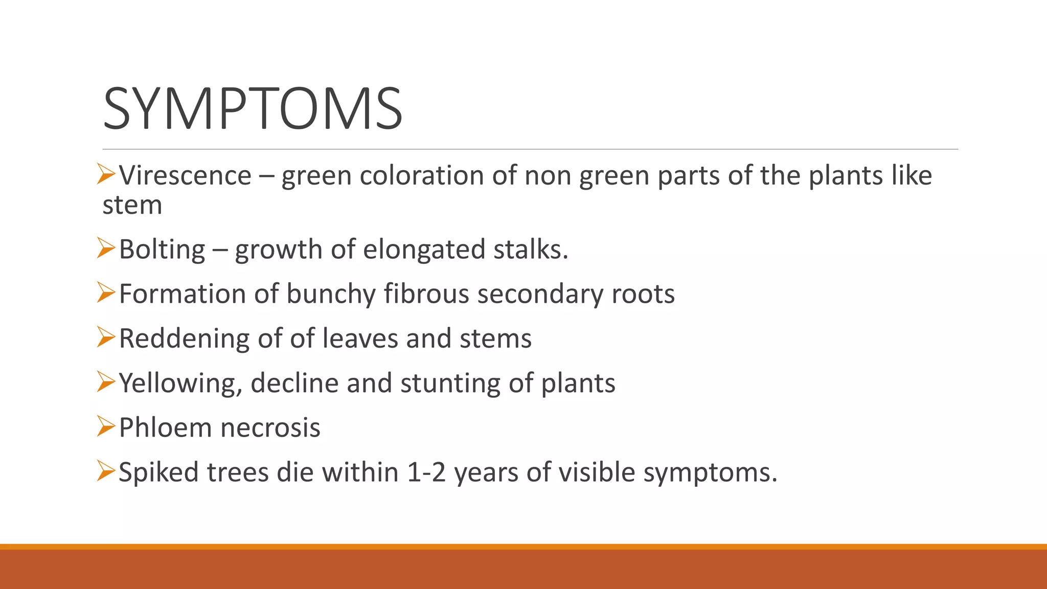 SANDALWOOD SPIKE DISEASE.pptx