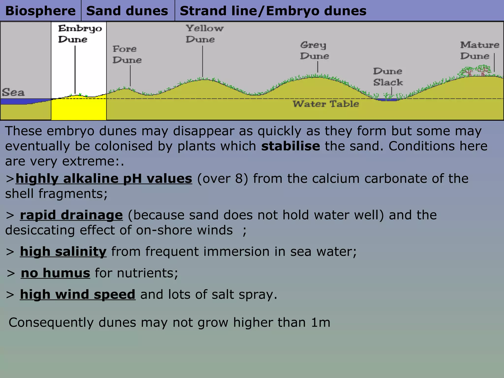 Sand dunes | PPT