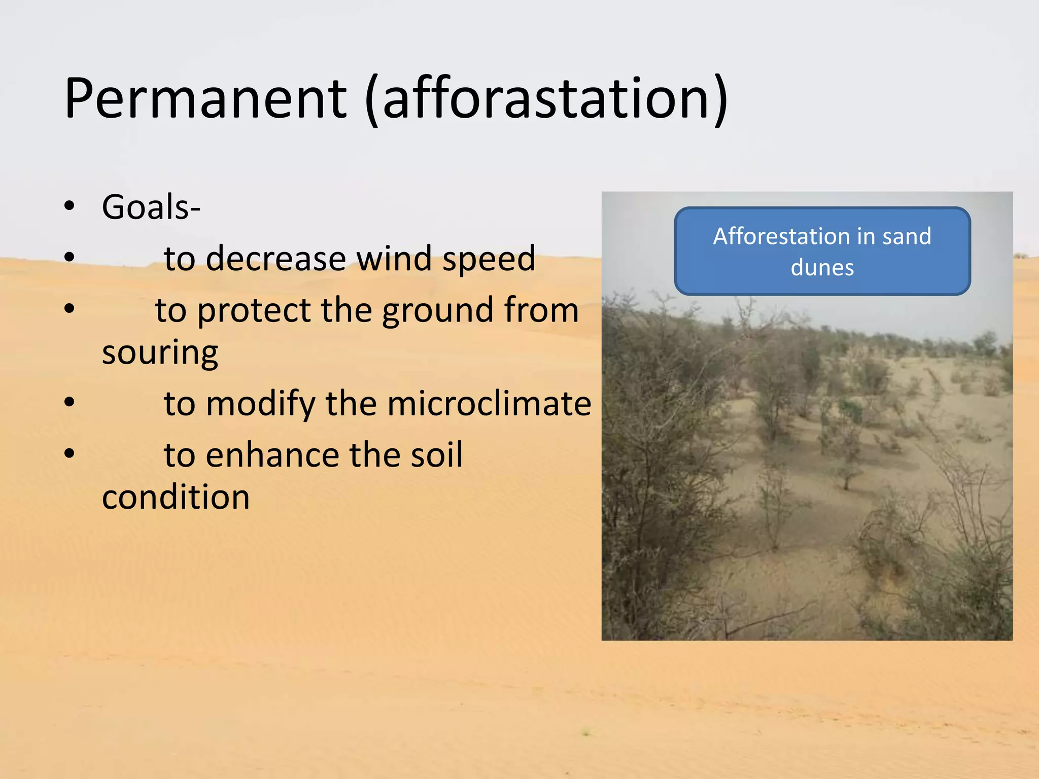 Sand dune stablization in Jaisalmer India | PPTX