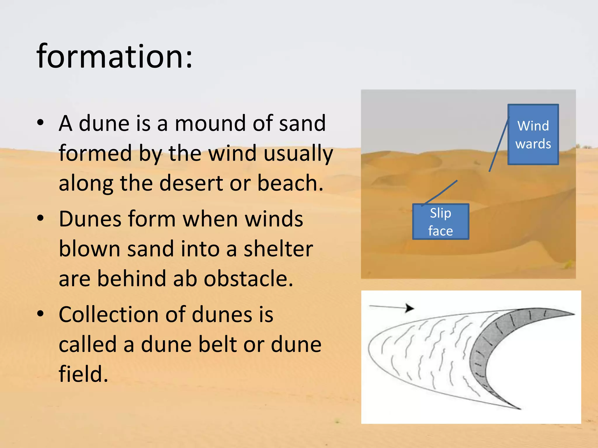 Sand dune stablization in Jaisalmer India | PPTX