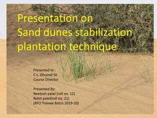 Sand dune stablization in Jaisalmer India | PPTX