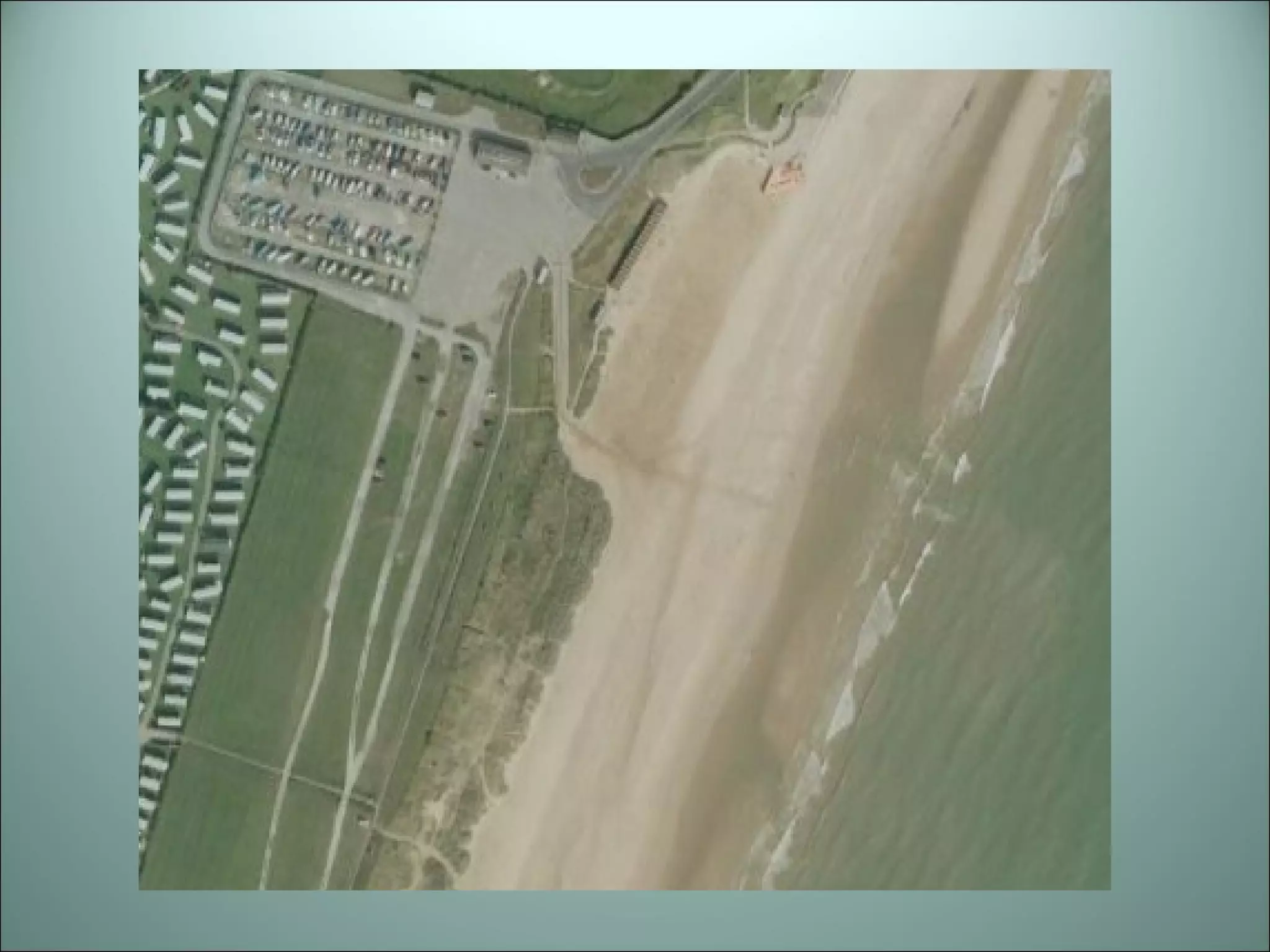 Sand Dune Succession | PPT