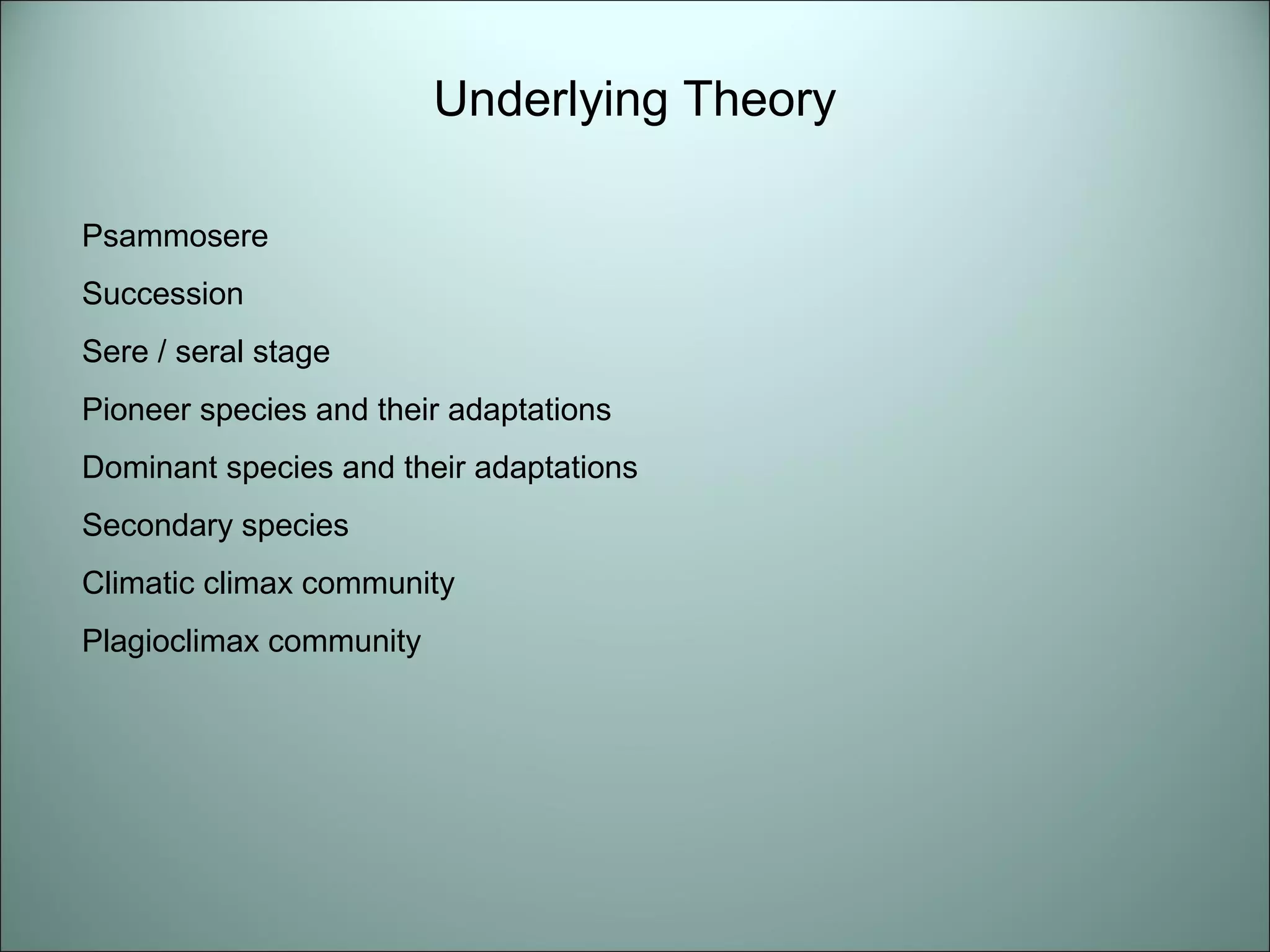 Sand Dune Succession | PPT