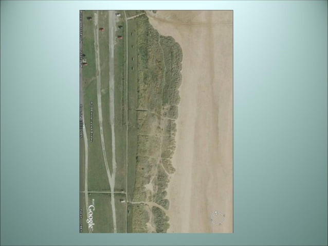 Sand Dune Succession | PPT | Geology | Science