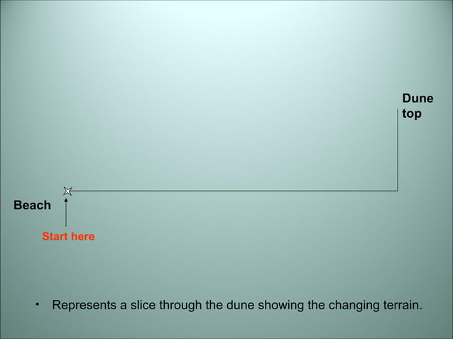 Sand Dune Succession | PPT | Geology | Science