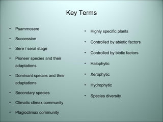 Sand Dune Succession | PPT