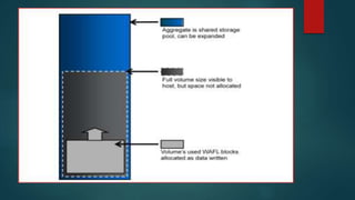 Netapp Deduplication concepts | PPT