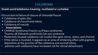 Differential diagnosis of congenital cataract | PPTX