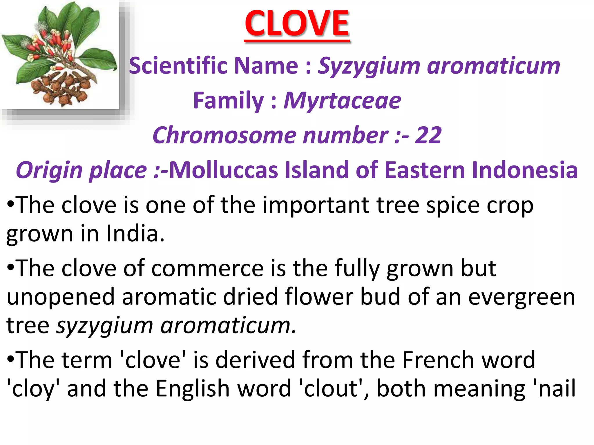 clove cultivation , clove , clove processing | PPTX