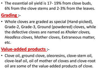 clove cultivation , clove , clove processing | PPTX
