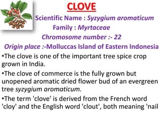 clove cultivation , clove , clove processing | PPT