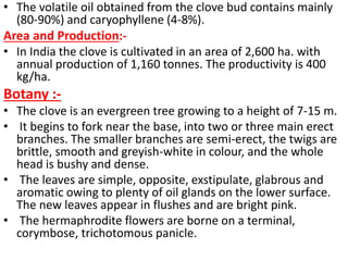 clove cultivation , clove , clove processing | PPTX