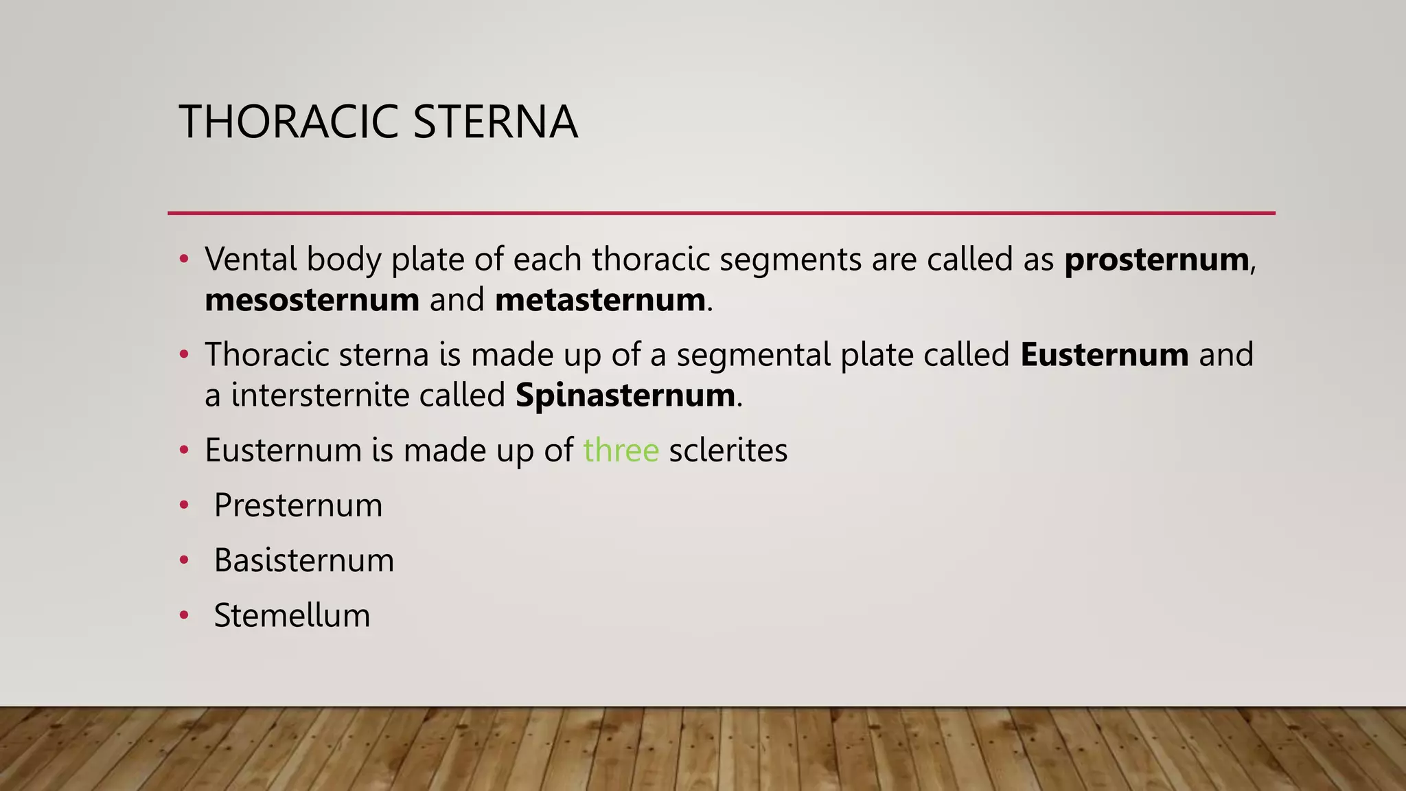 Insect morphology | PPTX