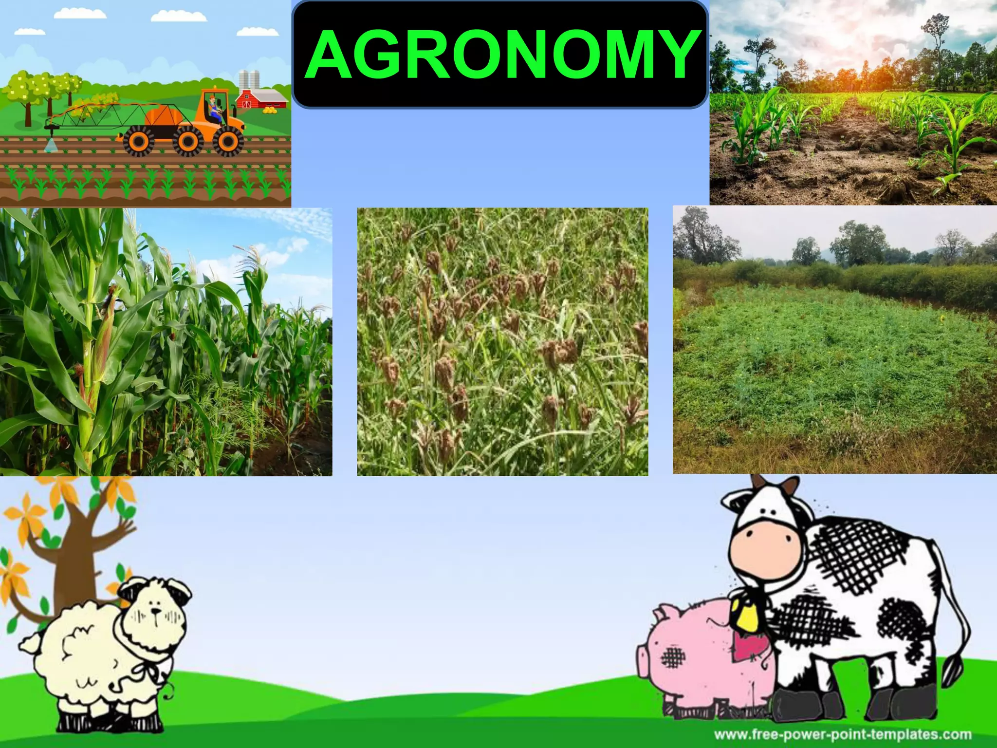 RAWE REPORT / PRESENTATION (2019) (RAWEP 2019) | PDF