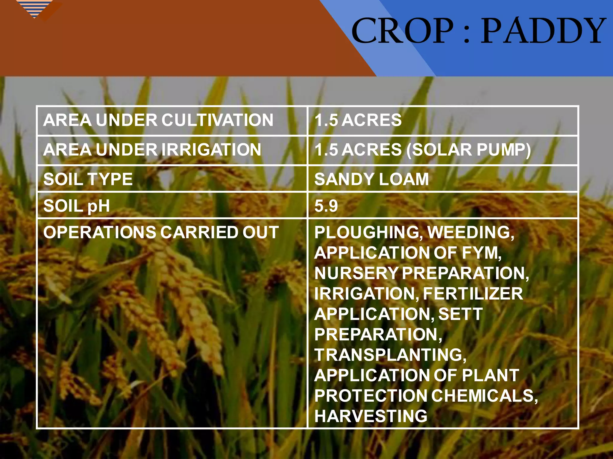 RAWE REPORT / PRESENTATION (2019) (RAWEP 2019) | PDF