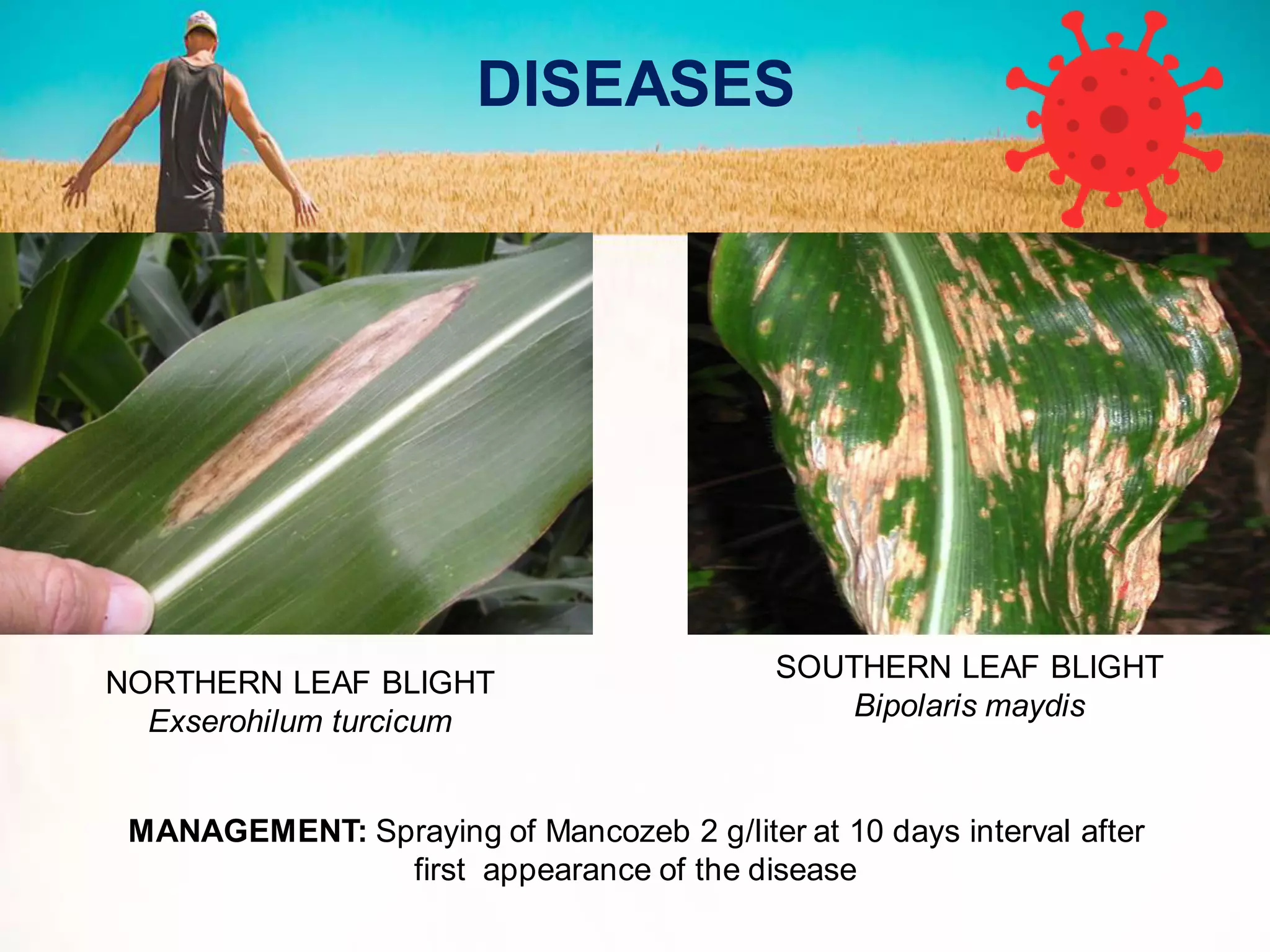 RAWE REPORT / PRESENTATION (2019) (RAWEP 2019) | PDF