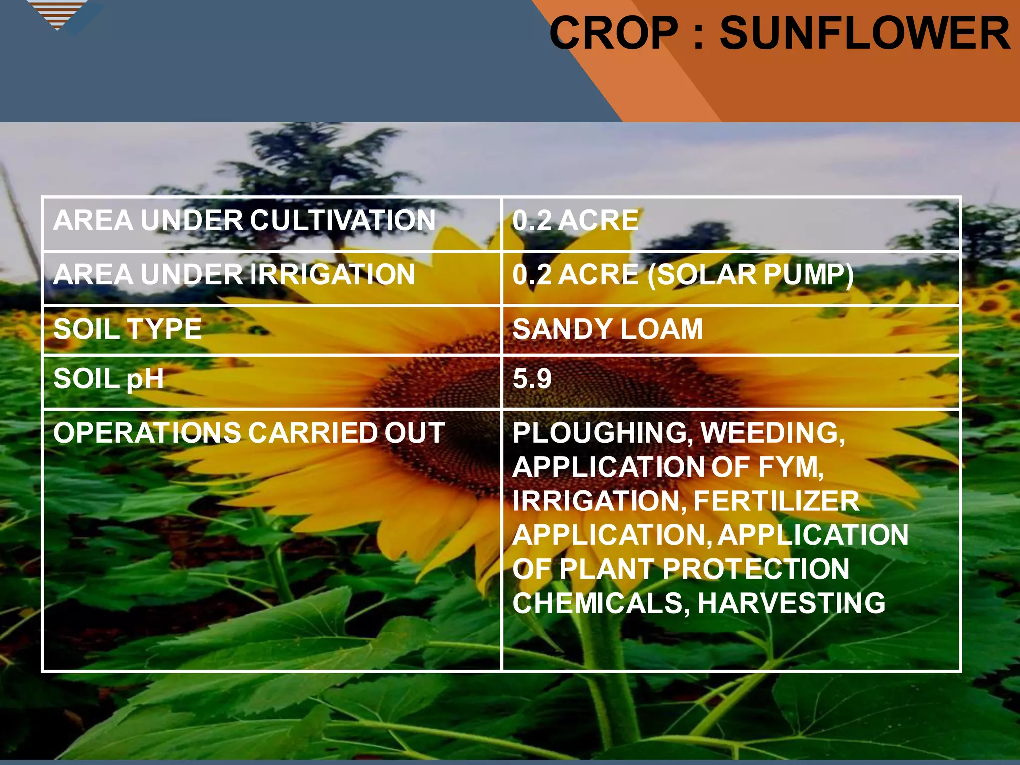 RAWE REPORT / PRESENTATION (2019) (RAWEP 2019) | PDF