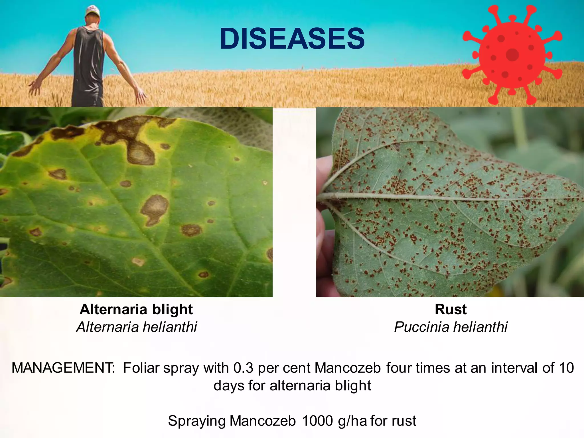 RAWE REPORT / PRESENTATION (2019) (RAWEP 2019) | PDF